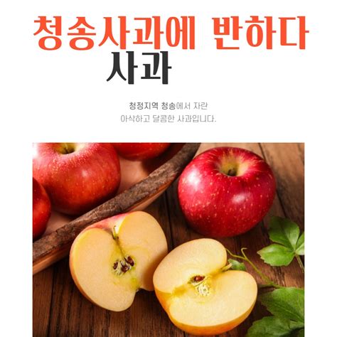 청송사과에 반하다 청송사과에 반하다 프리미엄사과 4kg 10과내외 사과배복숭아 사이소