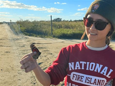 Good Things Fire Island Monarchs WNYC New York Public Radio