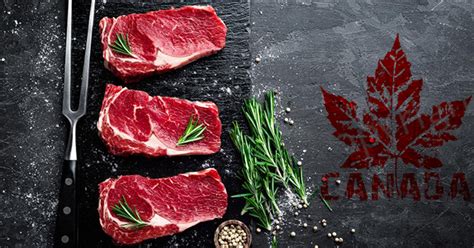 Bảng Giá Bán Lẻ Các Loại Thịt Bò Nhập Khẩu Mới Nhất 2021