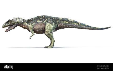Dinosaur King Acrocanthosaurus Toy