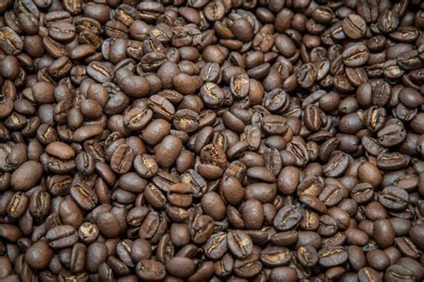 Governo da Bahia estrutura rede de produção de café de alto padrão da