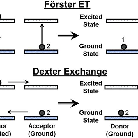 Illustration Of Förster And Dexter Energy Transfer Processes Between A