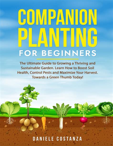 Buy Companion Planting For Beginners The Ultimate Guide To Growing A