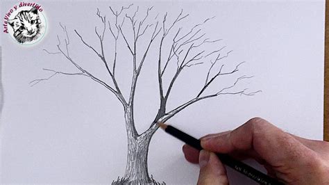 Best 12 Como Dibujar Desde Cero 1 Como Dibujar Un Arbol Realista Artofit
