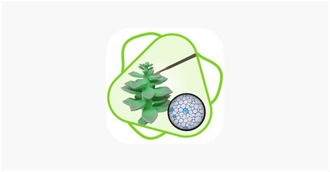 CloudLabs Plant Tissues On The App Store