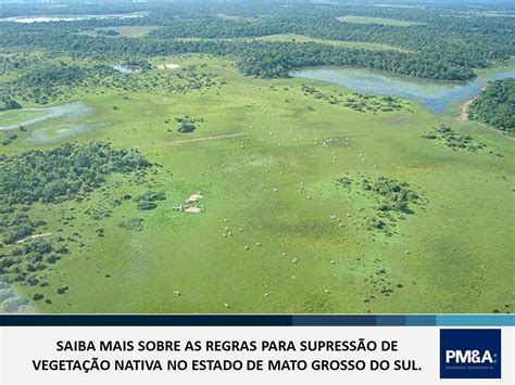 Saiba Mais Sobre As Regras Para SupressÃo De VegetaÇÃo Nativa No Estado