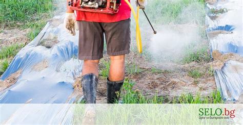 АБС Пръскането на площи в селата с глифозат вече е забранено от закона СПИСЪК с имената на