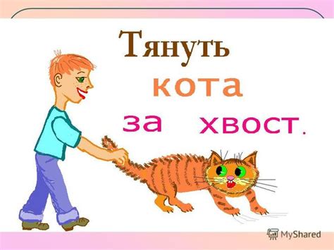 "Тянуть кота за хвост" - откуда появилось это выражение и что оно означает?