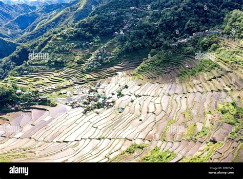 Birds Eye Drone Shot Over The Rice Terraces Of Banaue In The