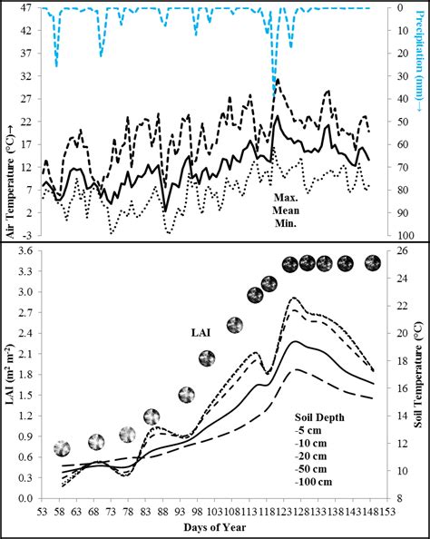 Daily Maximum Mean And Minimum Air Temperatures And Precipitation