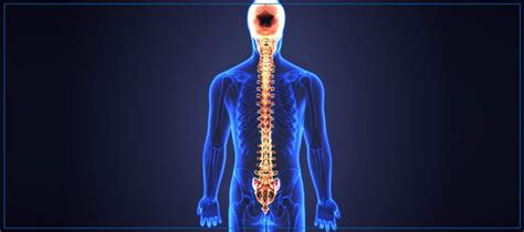 Celiac Plexus Block Treatment Near Me In Flowood MS