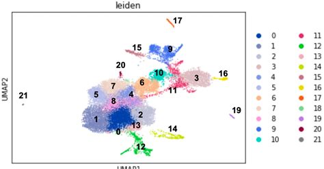 Umap Plot For Clustering Of Embryonic Cells Obtained By Single Cell Rna