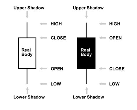 3 Types Of Charts In Forex And How To Read Them Fxpipsguru