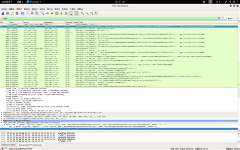 ctf之《抓到一只苍蝇》解析 ctf中的抓到一只苍蝇 csdn博客