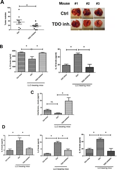 Tdo Inhibitor Decreased Cancer Metastasis And Improved Download