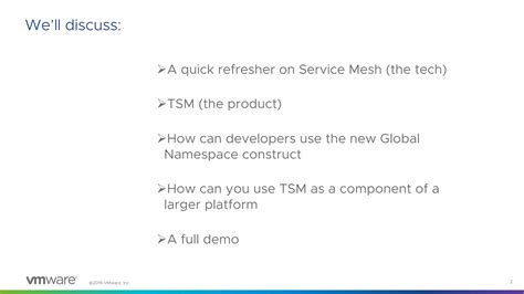 VMware Tanzu Service Mesh From The Developers Perspective PPT