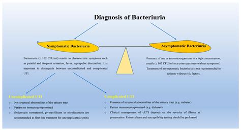 Urinary Tract Infection Pathogens