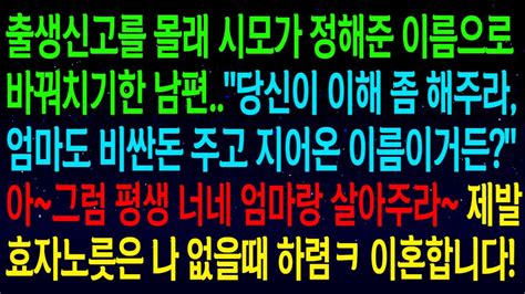 사연열차출생신고를 몰래 시모가 정해준 이름으로 바꿔치기한 남편엄마도 비싼돈 주고 지어온 이름이거든효자노릇은 나 없을때 해줄래 지긋지긋한 집안과 이혼합니다