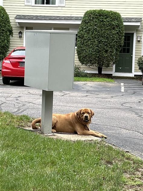 This Cbu Has A Boss Battle R Usps