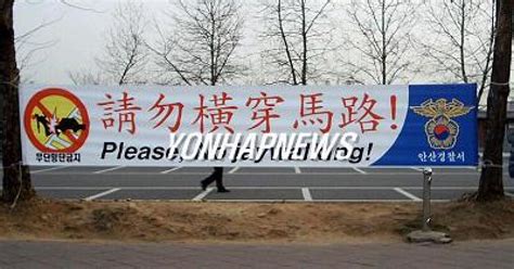 무단횡단금지 외국어 현수막