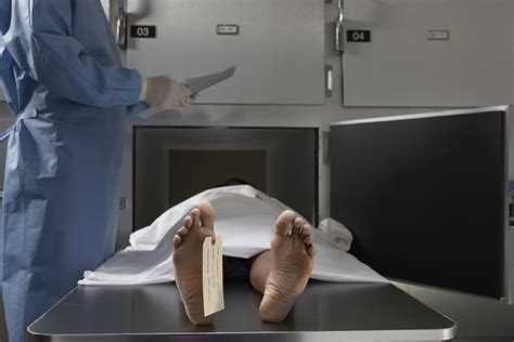 Embalmer What Is It And How To Become One Ziprecruiter