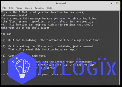 10 Zsh Tips And Tricks Configuration Customization And Usage Pylogix