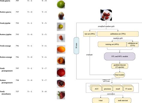 Figure From Fruit Freshness Detection Based On Multi Task