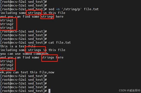 Linux命令：文本处理工具sed详解linux命令 Sed替换字符串详解 Csdn博客