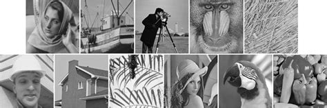 testing grayscale images used in the experiments download scientific
