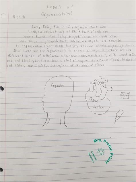 Student Output Samples From The Middle School Science Classroom Polka