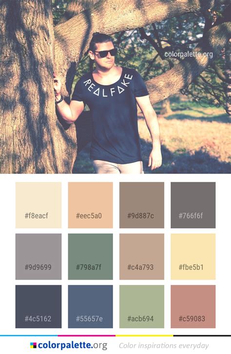 Face Human Hair Color Beauty Color Palette