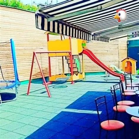 Novosti Pevac Qualita