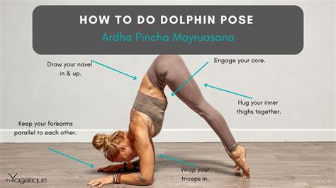 How To Do Dolphin Pose Modifications And Misalignments The Yogatique