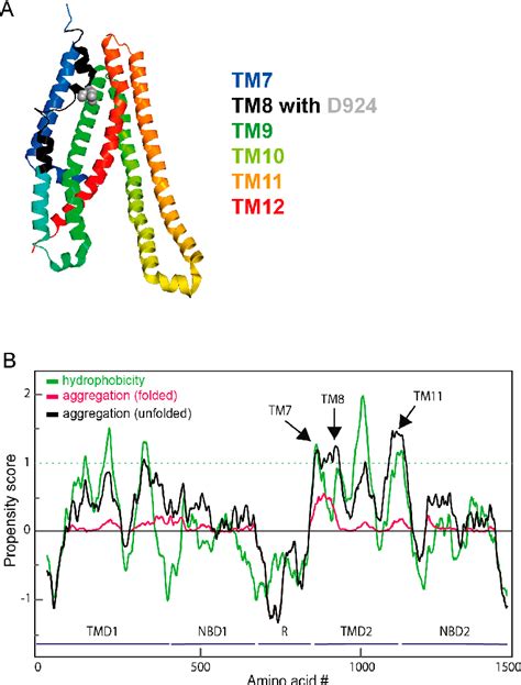 Figure 5 From Transmembrane Helices 7 And 8 Confer Aggregation