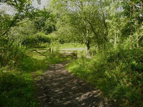 Path Out Of Emroyd Common Middlestown © Humphrey Bolton Cc By Sa20