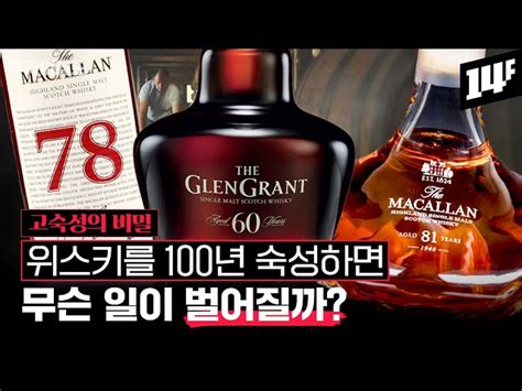 고숙성 위스키🥃는 비싼 만큼 맛있을까💰 80년 이상 초고숙성 위스키는 어떻게 만들까 주락이월드 14f