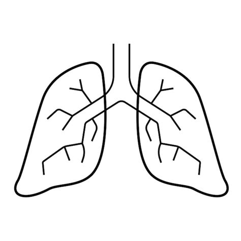 Premium Vector Lungs Icon Vektor