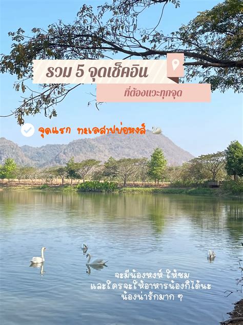 โซนสวนดอกไม้ฟิลเกาหลีเกาใจสุดๆ 공원 💐💕 แกลเลอรีที่โพสต์โดย Isaywork