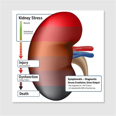 Biomérieuxs Nephrocheck Rebranding Craig Middlemas Design