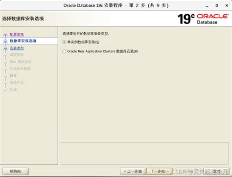 Centos7安装oracle19c数据库（图文版）dbca未找到命令 Csdn博客