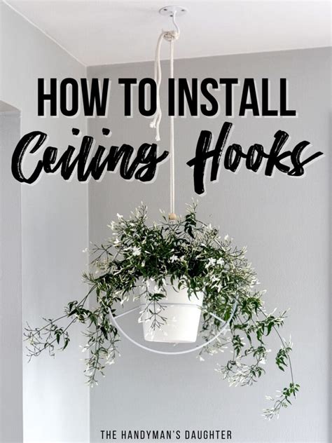How To Install Ceiling Hooks For Hanging Plants The Handymans Daughter