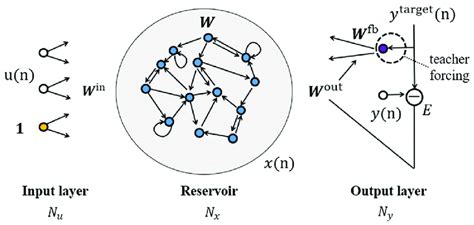 The Architecture Of An Echo State Network Download Scientific Diagram