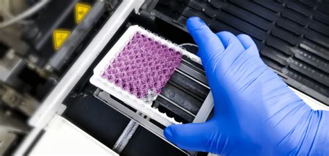 Spotlight Survey Considerations Around Validation Of Methods For Hybrid Lc Ms Ms Assays Using