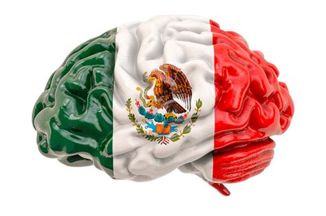 멕시코 국기와 인간의 두뇌 멕시코 개념의 과학 연구 및 교육 흰색 배경에 고립 된 3d 렌더링 3차원 형태에 대한 스톡 사진 및