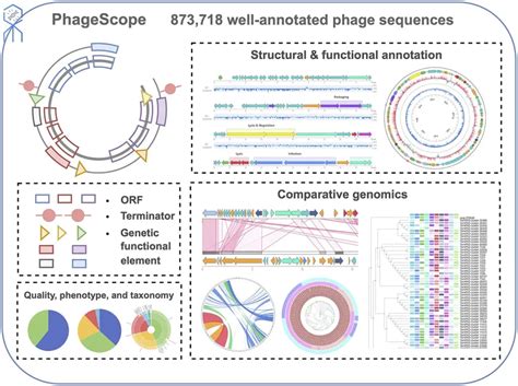 Iphop The Ultimate Host Prediction Tool For Microbial Viruses The Phage