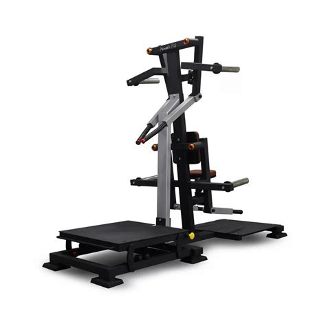 Manual Lateral Shoulder Raise Machine For Gym At ₹ 38000 In Mumbai