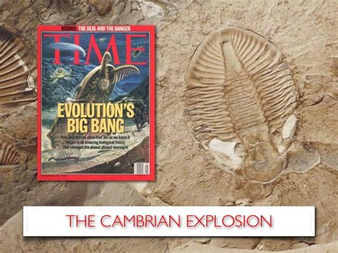 The Cambrian Explosion