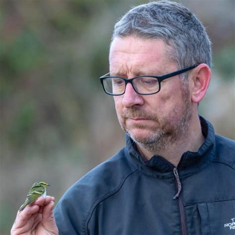Mark Thomas The Urban Birder World