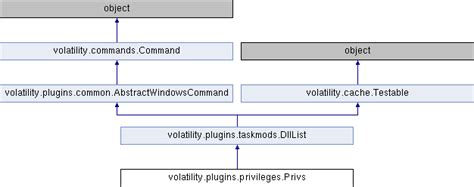The Volatility Framework Volatilitypluginsprivilegesprivs Class