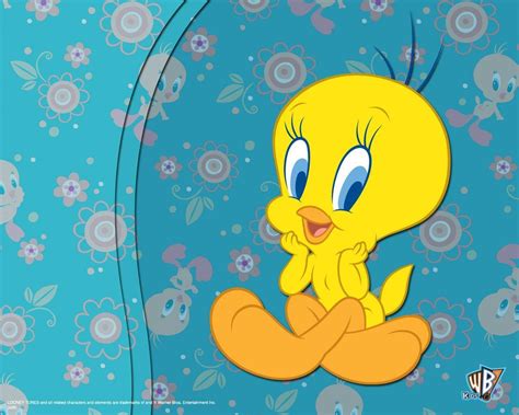 Tweety Bird Wallpapers Top Free Tweety Bird Backgrounds Wallpaperaccess